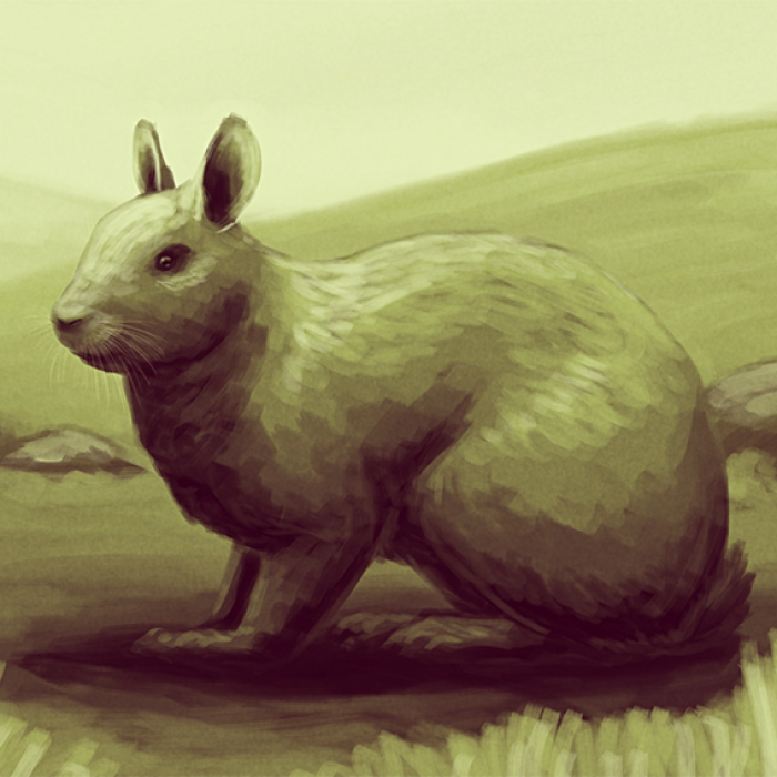 Prehistoric Rabbit